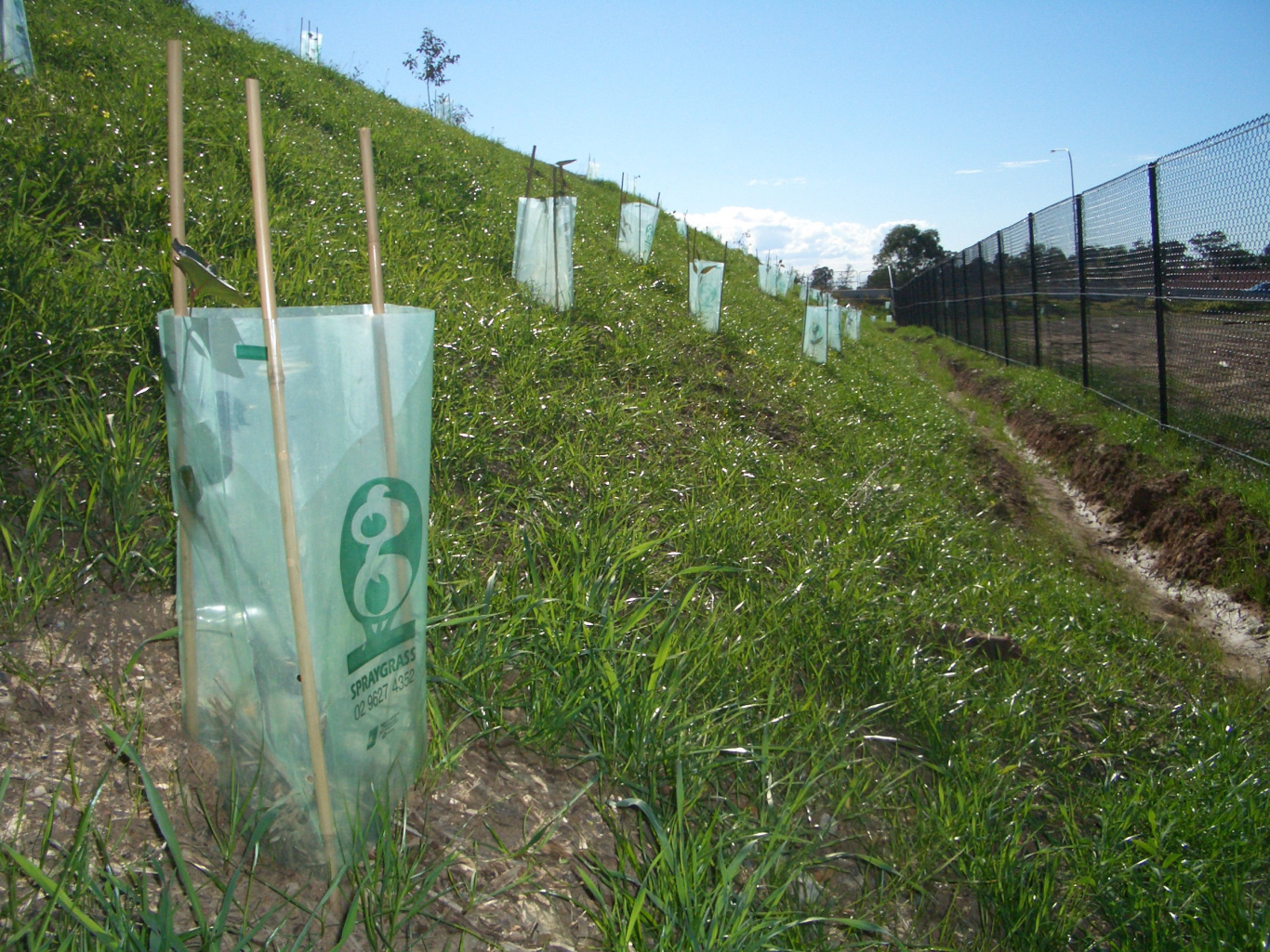 Spraygrass® | Landscaping